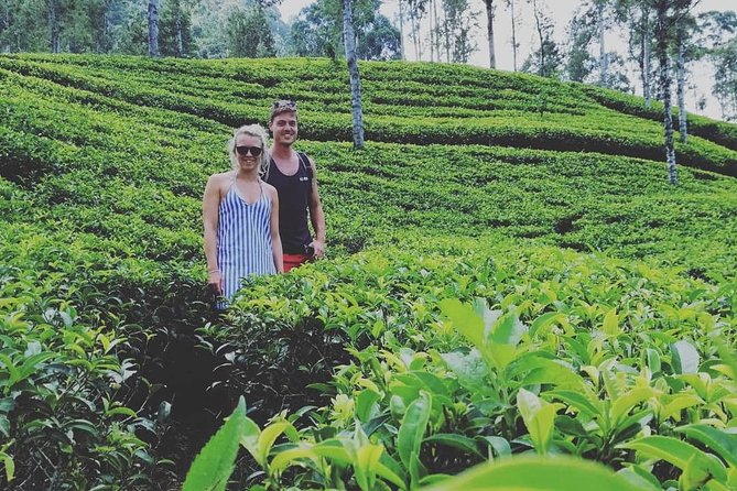 Adam's peak (Sri pada) Waterfalls tour - The Sum Up