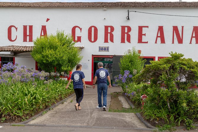 Adapted Van tour - Furnas (Full day) - The Itinerary in Detail