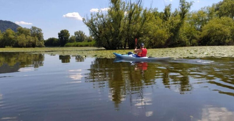 Adda River: Half day Kayak Trip - Exploring the Adda River Kayak Trip: What to Expect