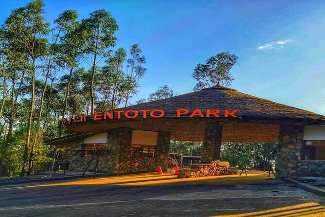 Addis Ababa +Mount Entoto View Point,Museums Palace Market Tours - What the Tour Offers