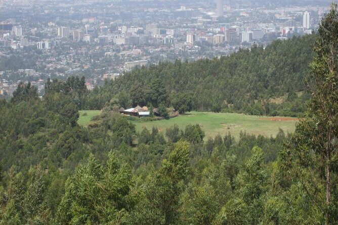 Addis Ababa +Mount Entoto View Point,Museums Palace Market Tours - Wrapping up with Local Flavors and Reflection