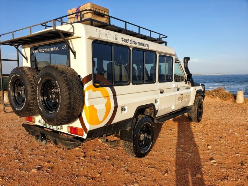 Addo Elephant National Park All Inclusive Full-Day Safari - Analyzing the Cost: Is It Worth It?