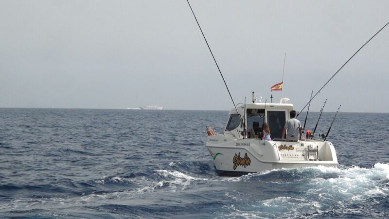 Adeje: 3.5Hour Professional Fishing Experience - The Value for Money