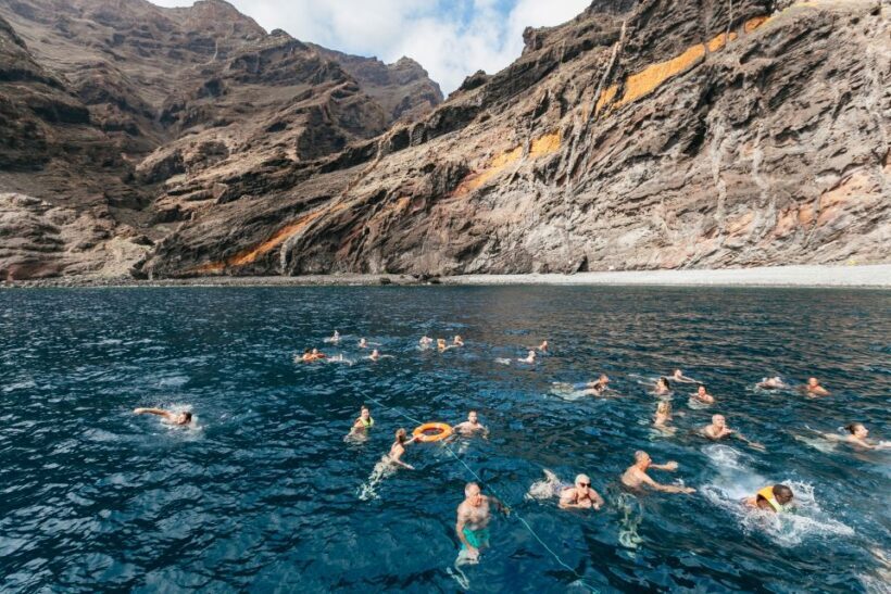 Adeje: Whale and Dolphin Watching Cruise with Lunch and Swim - FAQ