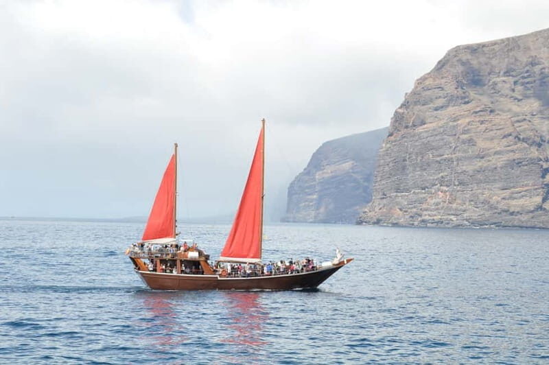 Adeje: Whale Watching Tour to Los Gigantes with lunch & swim - Practical Details and Tips
