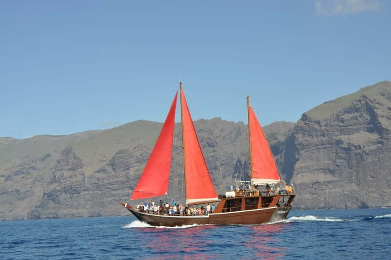 Adeje: Whale Watching Tour to Los Gigantes with lunch & swim - Who Should Consider This Tour?