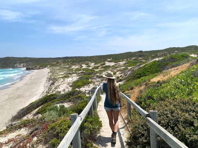 Adelaide: 3-Day Kangaroo Island Adventure Tour with Camping - How This Tour Works: An In-Depth Look