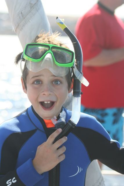 Adelaide: 4-Hour Swimming with Dolphins Experience - The Sum Up