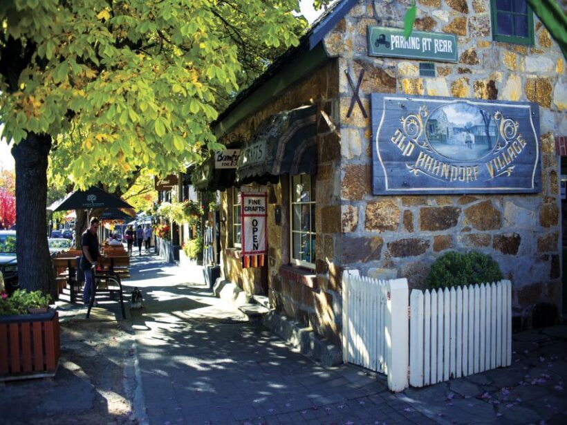 Adelaide: Adelaide Hills and Hahndorf Guided Tour with Lunch - What to Expect on This Tour