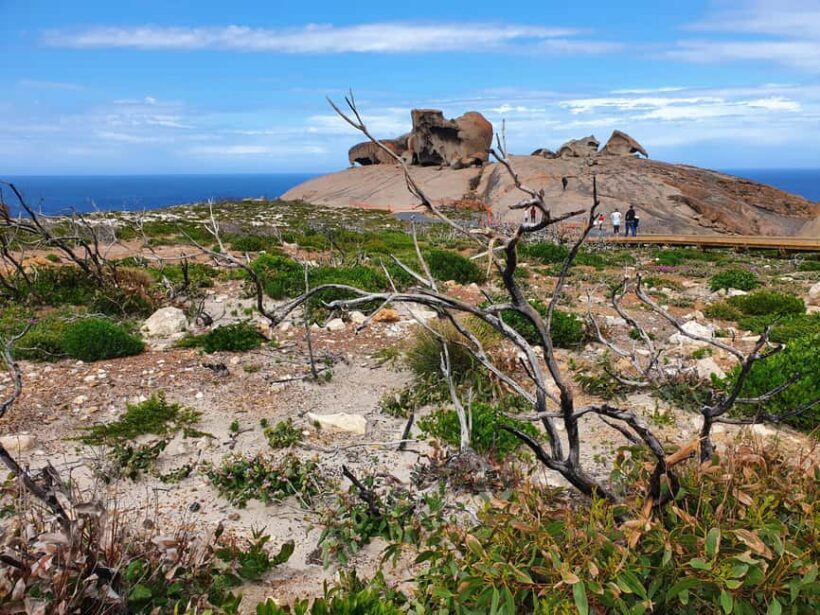 Adelaide: All-Inclusive Boutique 2-Day Kangaroo Island Tour - Who Should Consider This Tour?