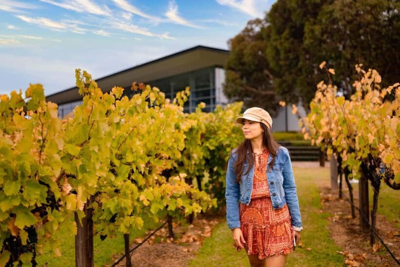 Adelaide: Barossa and Adelaide Hills Tour with Lunch - The Itinerary in Detail