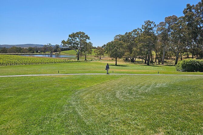 Adelaide City Full-Day Tour - Transport, Group Size, and Overall Experience