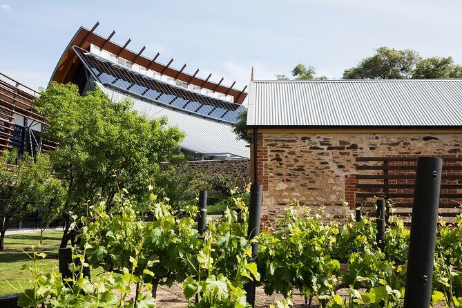 Adelaide City Highlights Tour - FAQ: Practical Questions about the Adelaide City Highlights Tour
