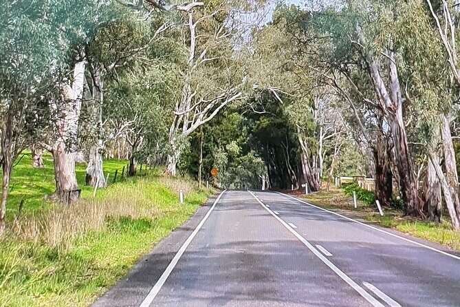 Adelaide City Highlights via Hahndorf Half-Day Tour - A Closer Look at the Itinerary