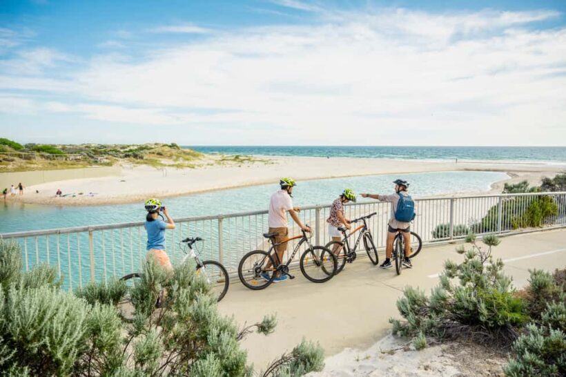 Adelaide: City to Sea, Bike and Kayak Safari - The Itinerary: What to Expect on Your Day
