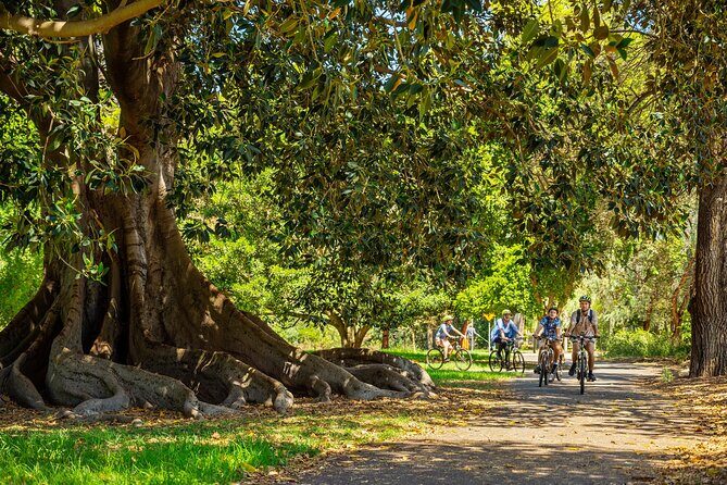 Adelaide City to Sea Bike Tour - FAQ: Your Practical Questions Answered