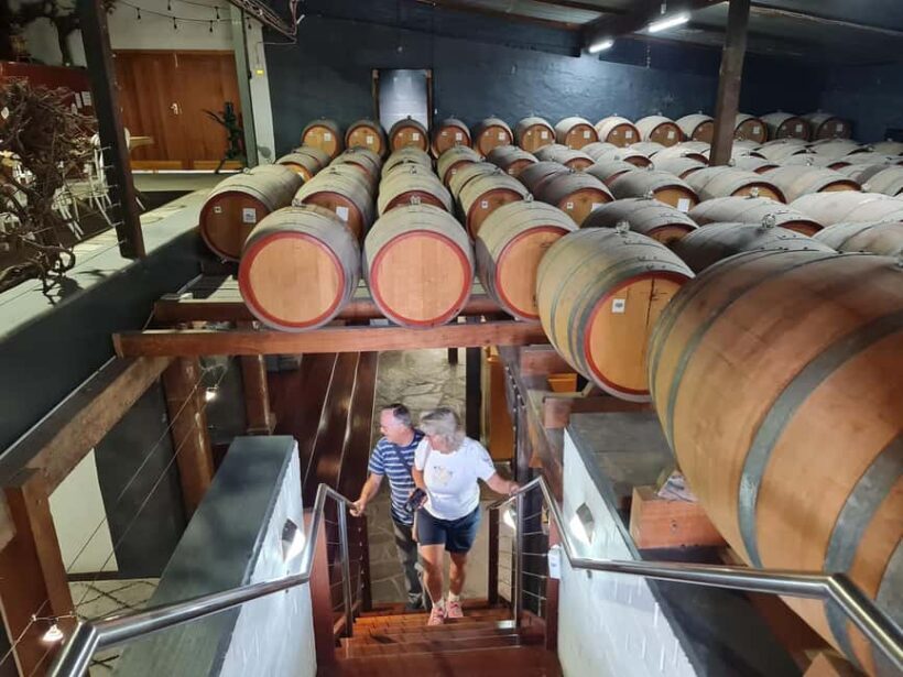 Adelaide Cruise Ship: Koalas & Penfolds & Heritage Day Tour - Key Points