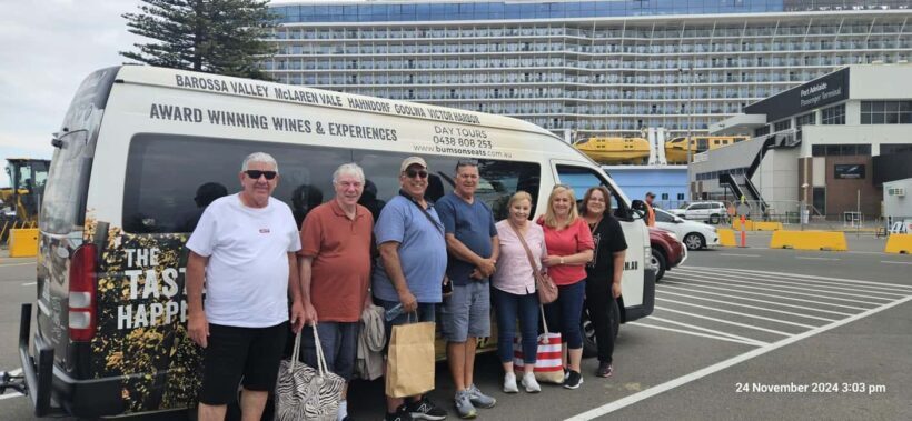 Adelaide Cruise Ship Private Tours - Why Choose This Tour?