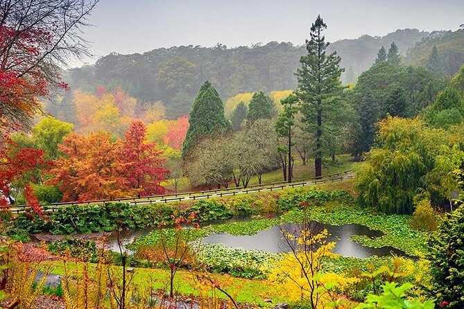 Adelaide Cruise Ship Tours to Hahndorf & Hills Wildlife Wonders - FAQ