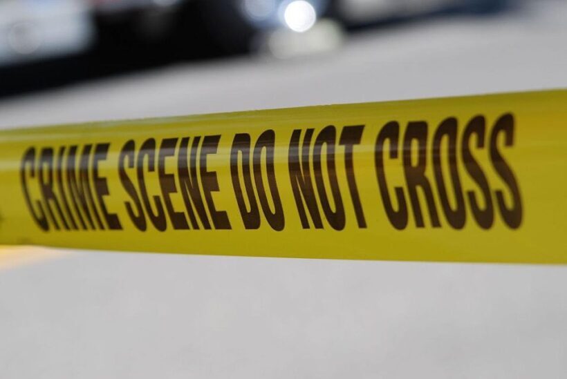 Adelaide: Dark Secrets and True Crime Walking Tour - Introduction: A Walk Through Adelaide’s Dark Side