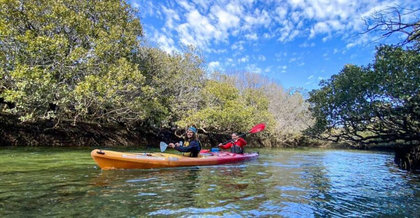 Adelaide: Dolphin Sanctuary 1 or 2-Person Kayak Rental - Final Thoughts