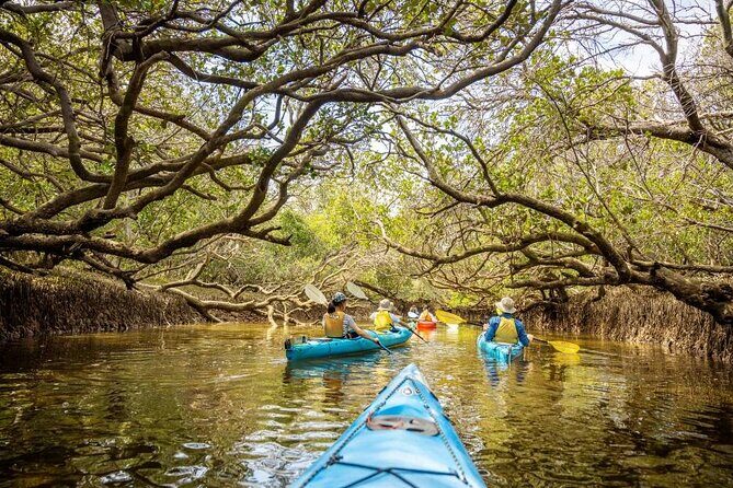 Adelaide Dolphin Sanctuary and Ships Graveyard Kayak Tour - Final Thoughts