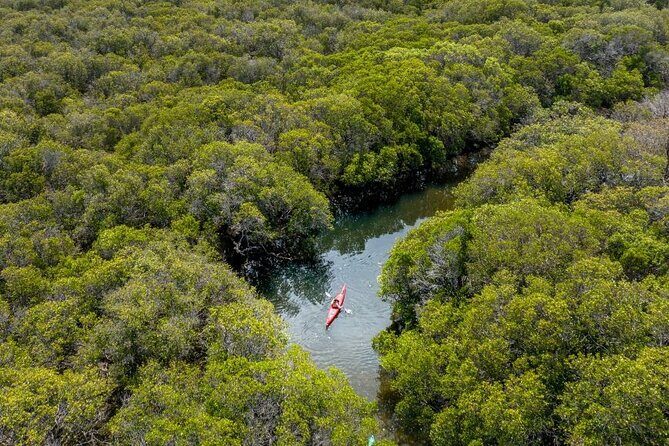 Adelaide Dolphin Sanctuary and Ships Graveyard Kayak Tour - FAQ