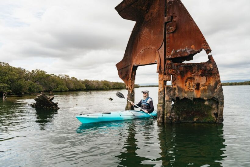 Adelaide: Dolphin Sanctuary Eco Kayaking Tour - An In-Depth Look at the Eco Kayaking Tour