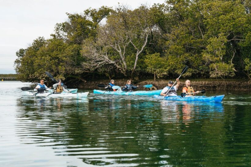 Adelaide: Dolphin Sanctuary Eco Kayaking Tour - The Sum Up