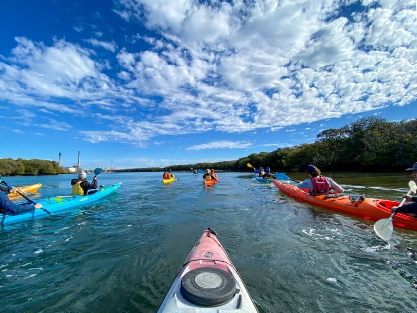 Adelaide: Dolphin Sanctuary Mangroves Kayak Tour - An In-Depth Look at the Experience
