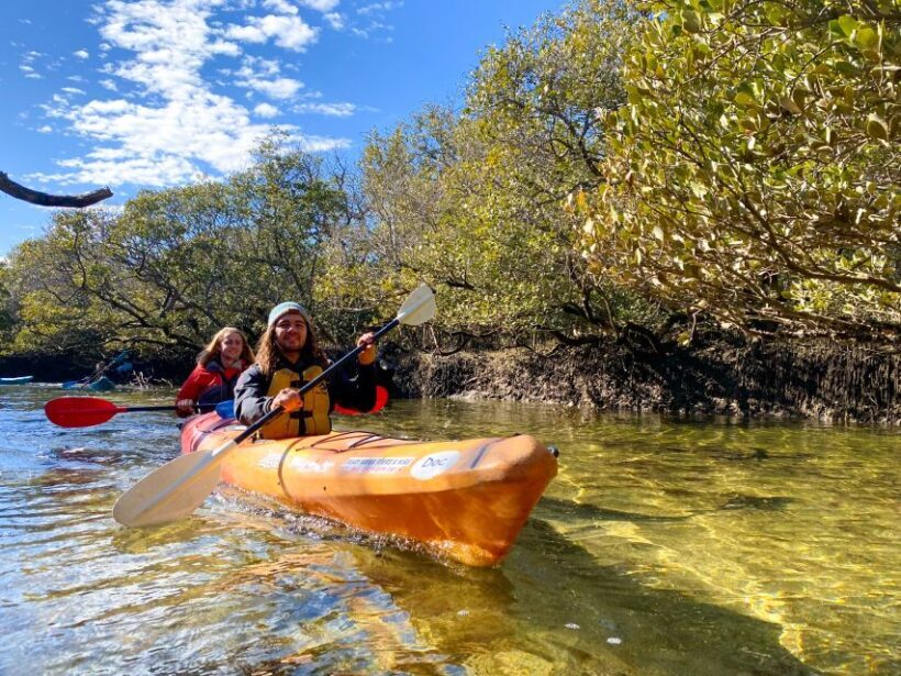 Adelaide: Dolphin Sanctuary Mangroves Kayak Tour - Who Will Love This Tour?