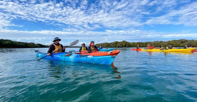 Adelaide: Dolphin Sanctuary Mangroves Kayak Tour - Practical Tips for Your Kayaking Adventure