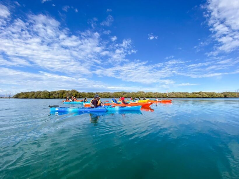 Adelaide: Dolphin Sanctuary Mangroves Kayak Tour - FAQ