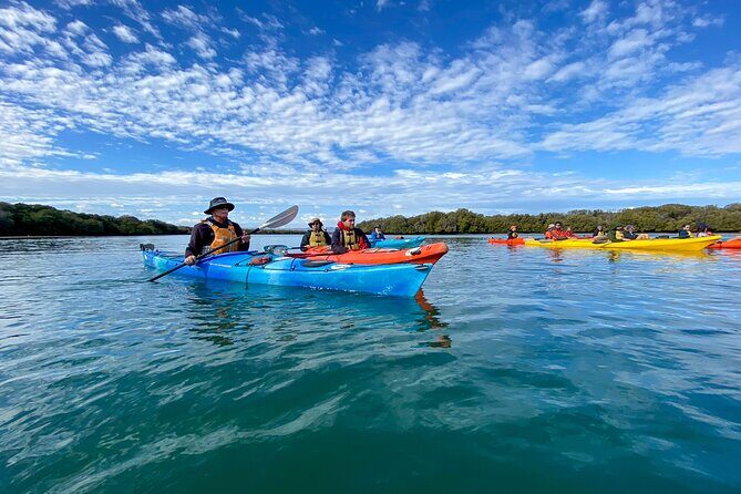 Adelaide Dolphin Sanctuary Mangroves Kayaking Tour - The Core Experience: Exploring Adelaide’s Hidden Marine World