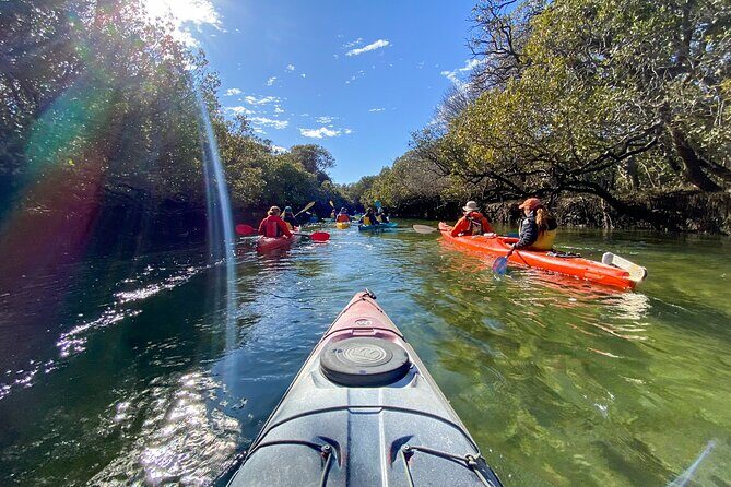 Adelaide Dolphin Sanctuary Mangroves Kayaking Tour - FAQs