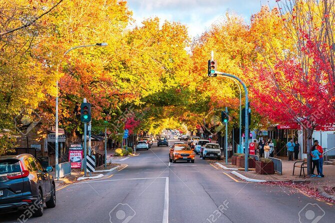 Adelaide "Firsts" Walking Tour - From Grid Plans to Great Wine - FAQs