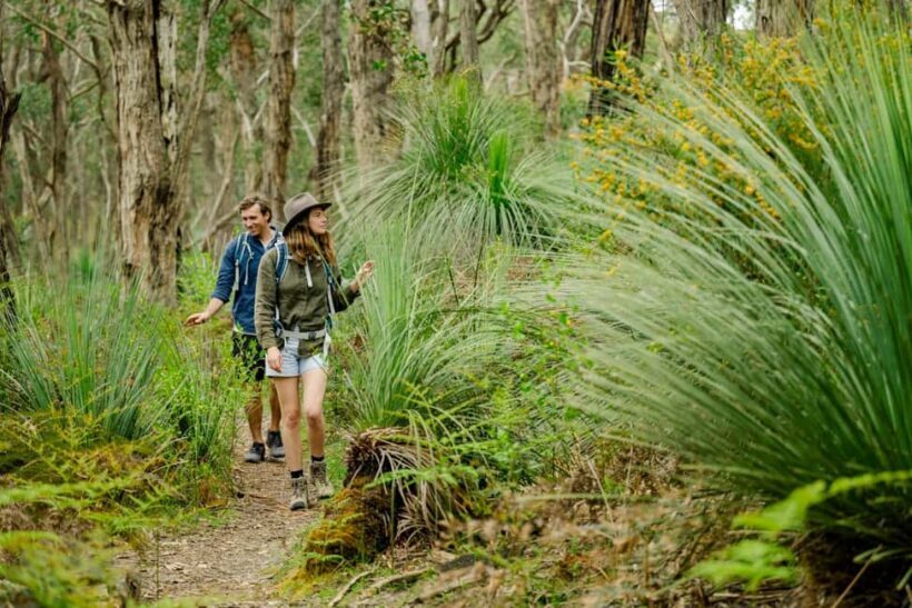Adelaide: Fleurieu Gourmet 4-Day Walking Tour - FAQ
