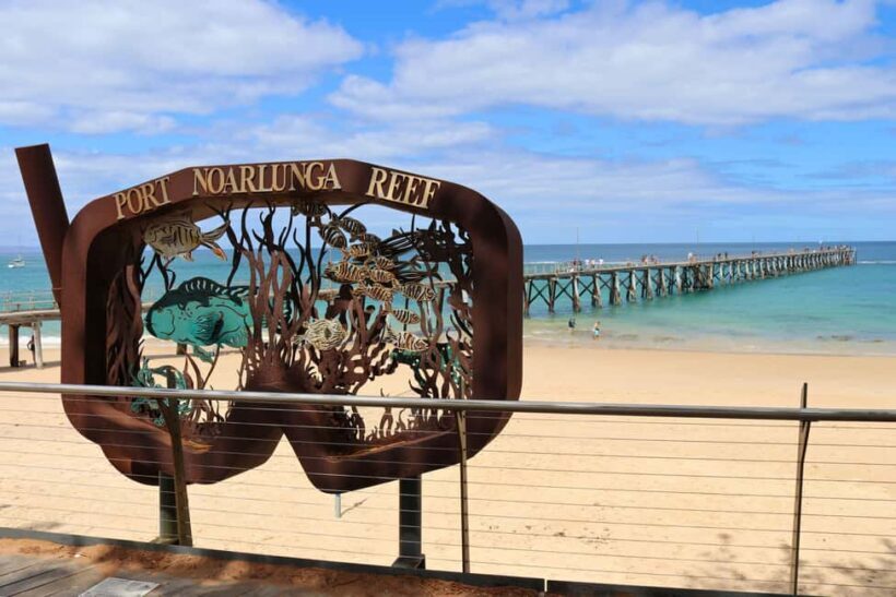 Adelaide: Fleurieu Snorkel & Beer Safari - The Itinerary: What to Expect from the Fleurieu Snorkel & Beer Safari