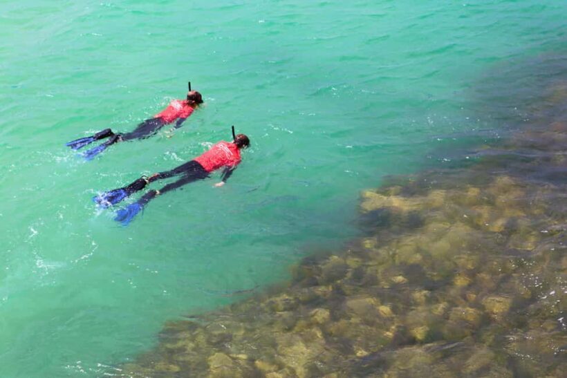 Adelaide: Fleurieu Snorkel & Beer Safari - Practical Details: What You Need to Know