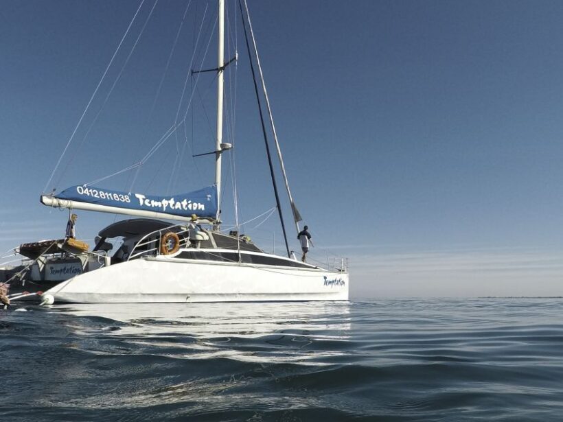 Adelaide: Glenelg Twilight Catamaran Cruise with Drink - Key Points