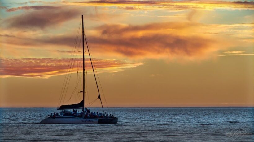 Adelaide: Glenelg Twilight Catamaran Cruise with Drink - Authentic Reviews & Insights