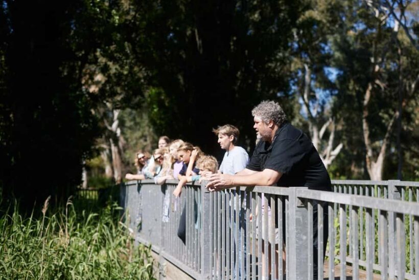 Adelaide: Guided Warriparinga Cultural and Historical Tour - The Significance of the Wetlands and Artefacts