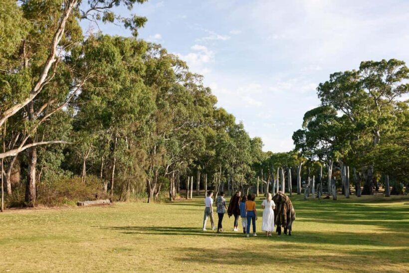 Adelaide: Guided Warriparinga Cultural and Historical Tour - What Travelers Should Know