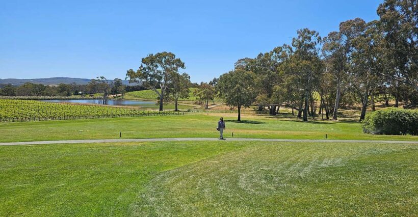 Adelaide: Hahndorf & Hills Wine and/or Gin Tour - Key Points