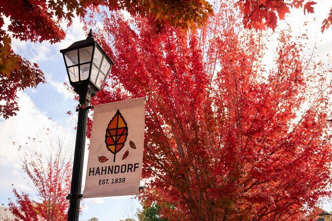 Adelaide Highlights, Hahndorf & McLaren Vale Wine Tasting and Sightseeing Tour - The Unique Charm of Hahndorf & the Vineyards
