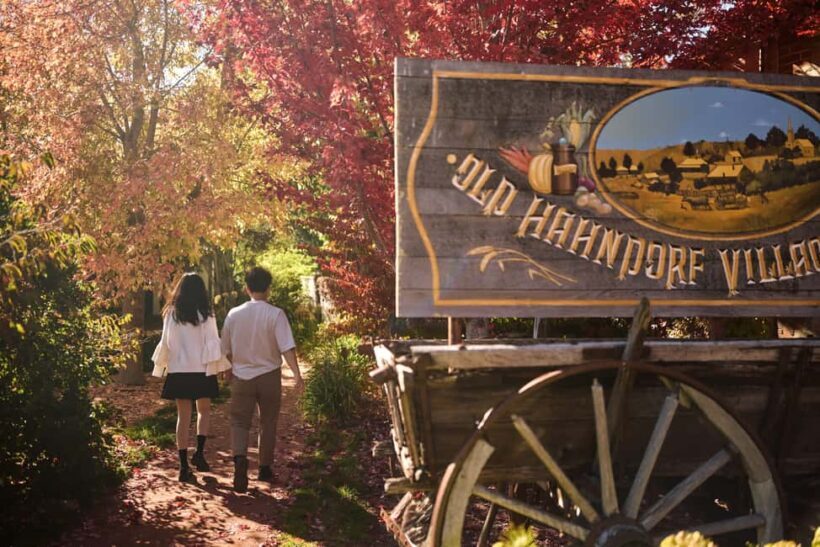 Adelaide: Highlights, Hahndorf & McLaren Vale Wine Tasting - Authentic Experiences and Traveler Feedback