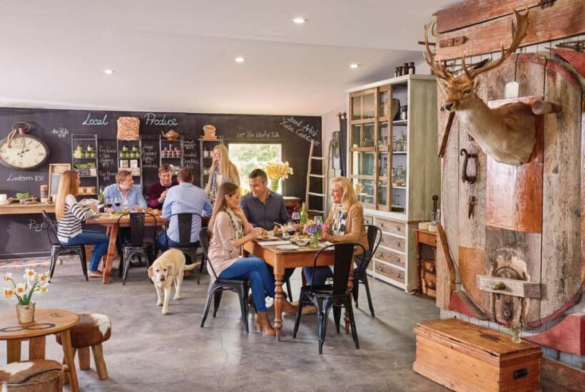 Adelaide Hills and Hahndorf Hop-On-Hop-Off Tour - Final Thoughts: Is It Worth It?