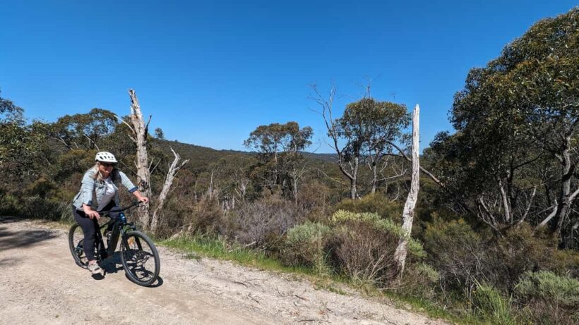 Adelaide Hills: E-Bike Self-Guided Tour with Coffee and Cake - Authentic Wildlife and Scenic Vistas
