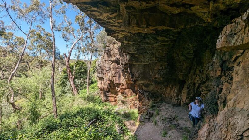 Adelaide Hills: E-Bike Self-Guided Tour with Coffee and Cake - The Sum Up