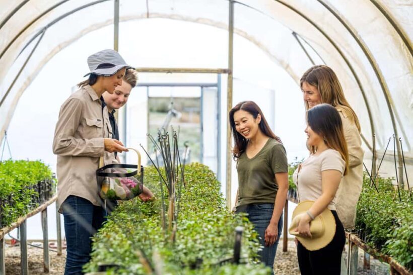 Adelaide Hills: Jurlique Farm Tour - A Closer Look at the Jurlique Farm Tour